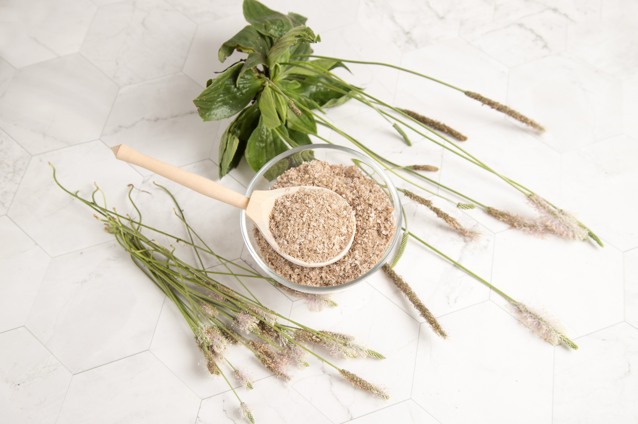Psyllium Husk: The Superfood No One Is Talking About – Brightside Organics